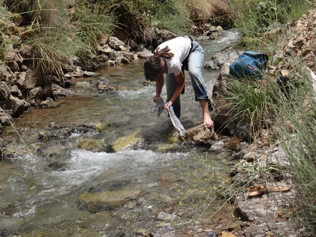 Comment valoriser une mission humanitaire sur son CV - Association ...