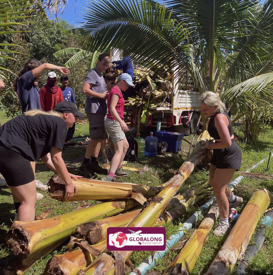 Humanitarian NGO: definition, roles and global impact | Globalong