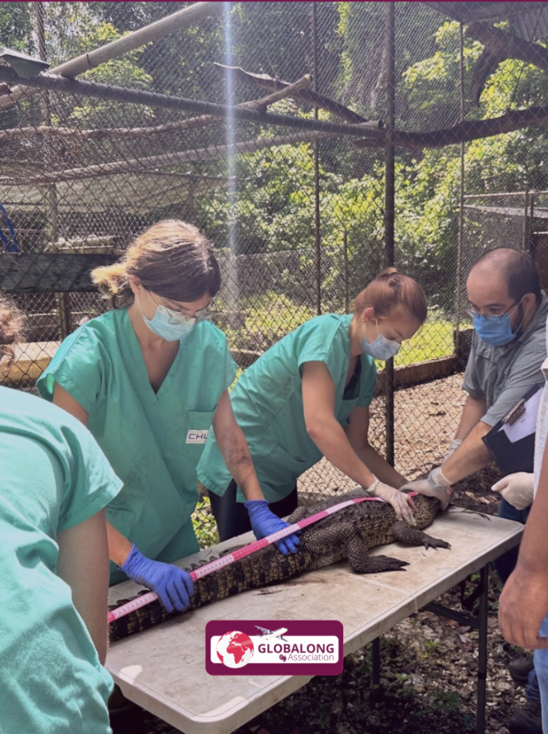 ONG humanitaire définition et impact des missions à l'étranger ...